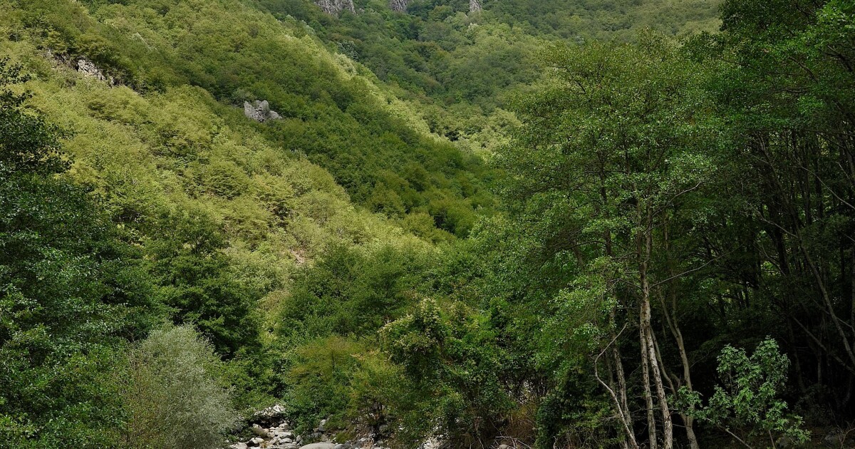 Красивата природа на България! - bTV Новините