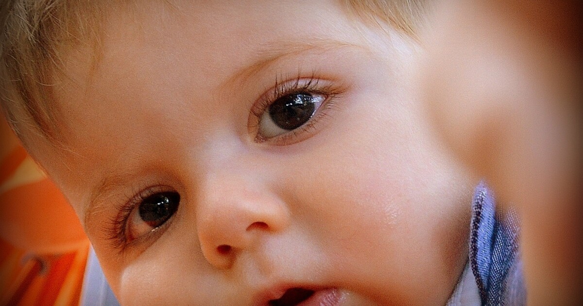 Ден на детето 1 юни Btv Новините