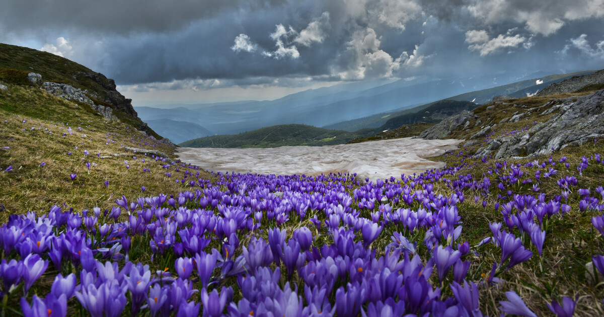 Невероятната природа на България - bTV Новините